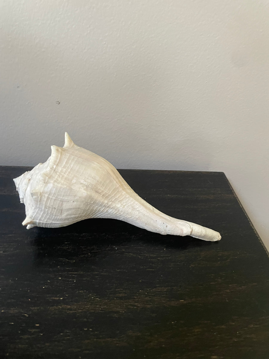 Nalusa Falaya creature- no reserve – Home2spirits